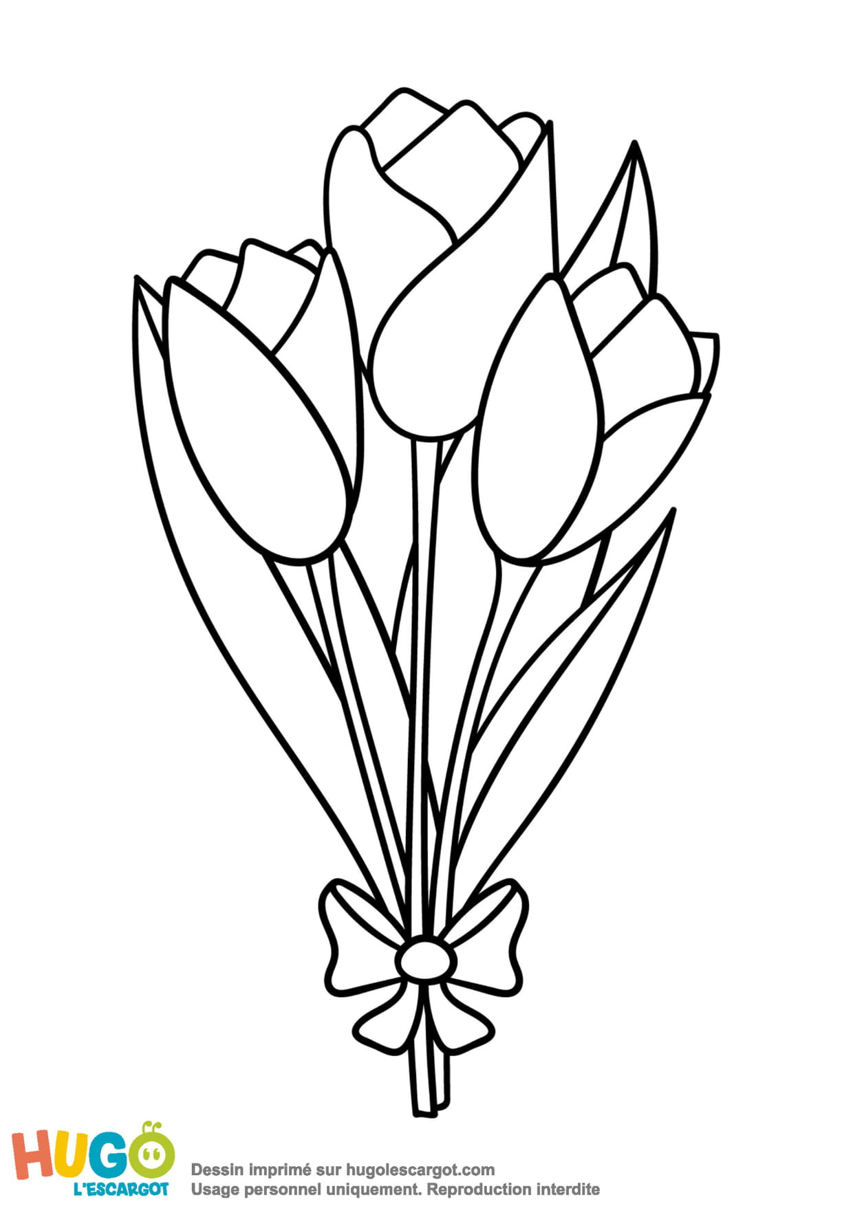 Comment Dessiner Une Tulipe Simple Tulipes Poussins {Activité}
