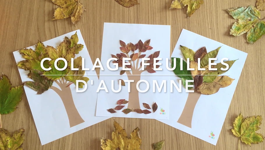 Collages feuilles d'automne